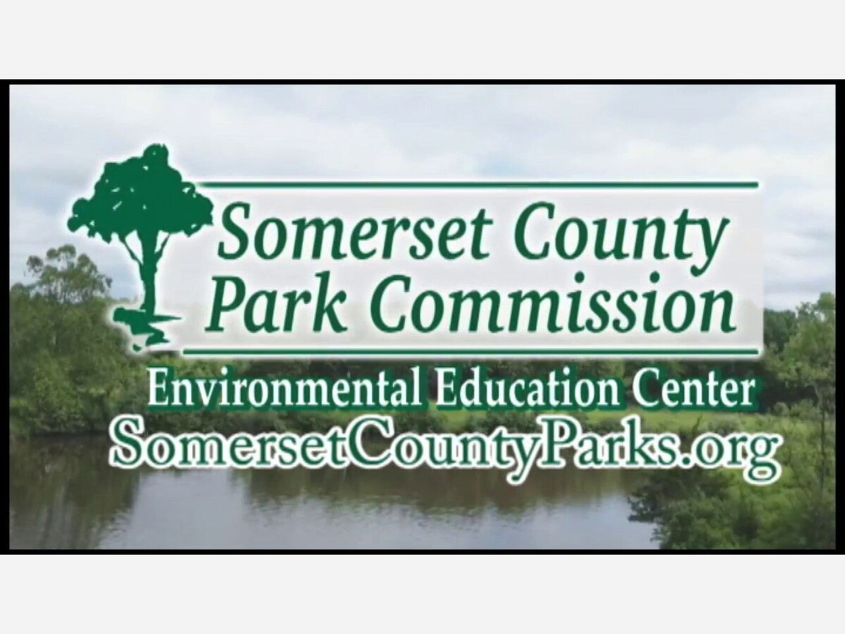 Somerset County Park Commission Hosts Children’s Art Show 2022 at the ...