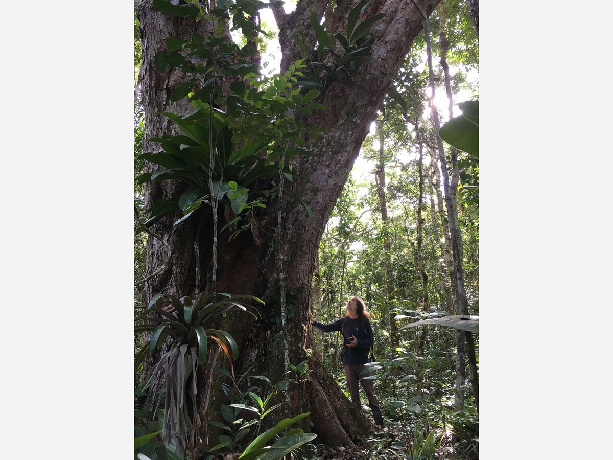 RVCC Students Spend Winter Break Studying Tropical Ecology ...