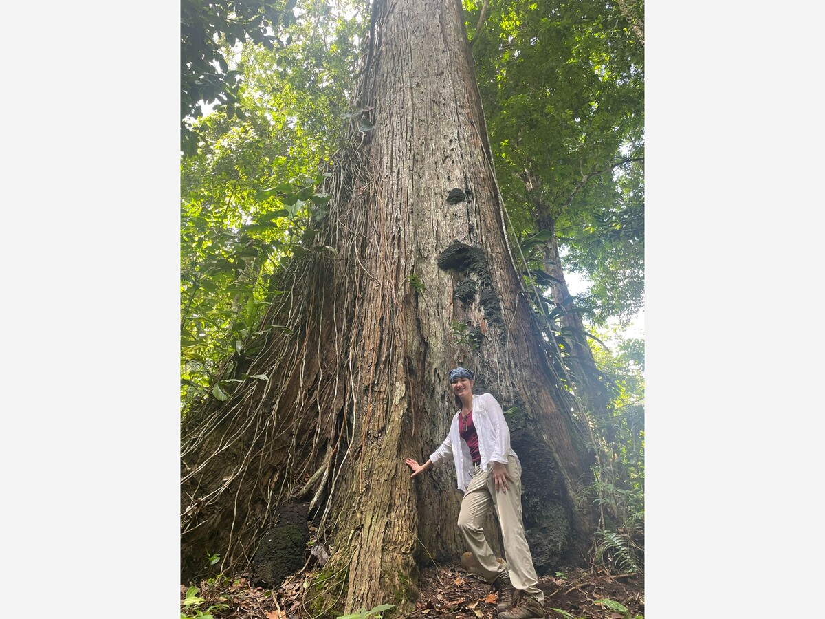 RVCC Students Spend Winter Break Studying Tropical Ecology ...