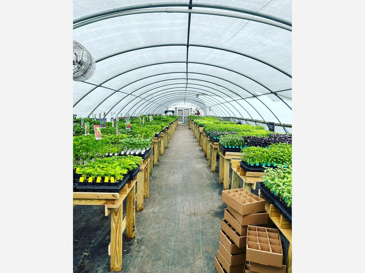 Travel Finds: Spice it Up - The World's Largest Chili Farm is Located ...