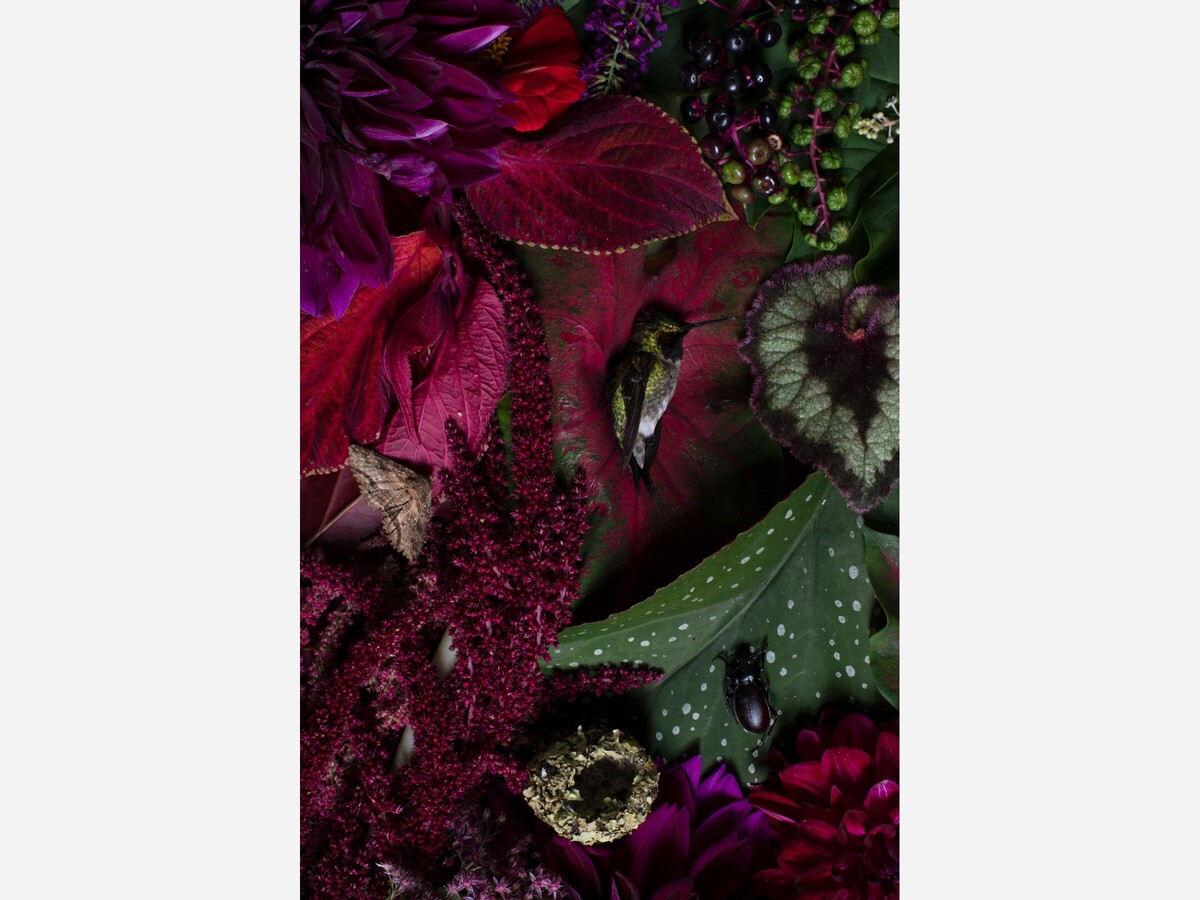 Arts & Culture: RVCC's Contemporary Art Exhibition Featuring Artists ...