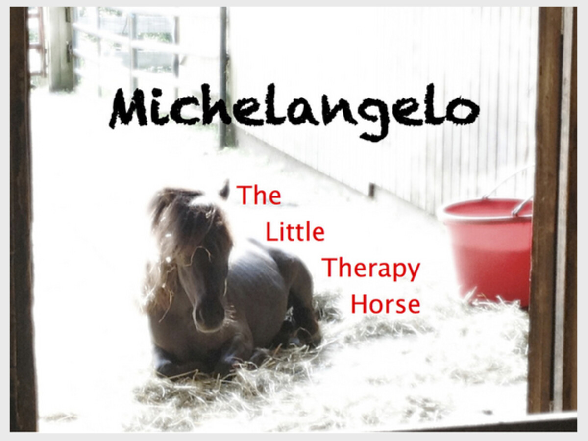 Michelangelo, the little therapy horse, at the Raritan Public Library ...