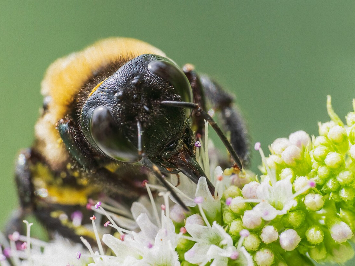 Environmental Education Center to Host Art Exhibit ‘Second Nature: A ...